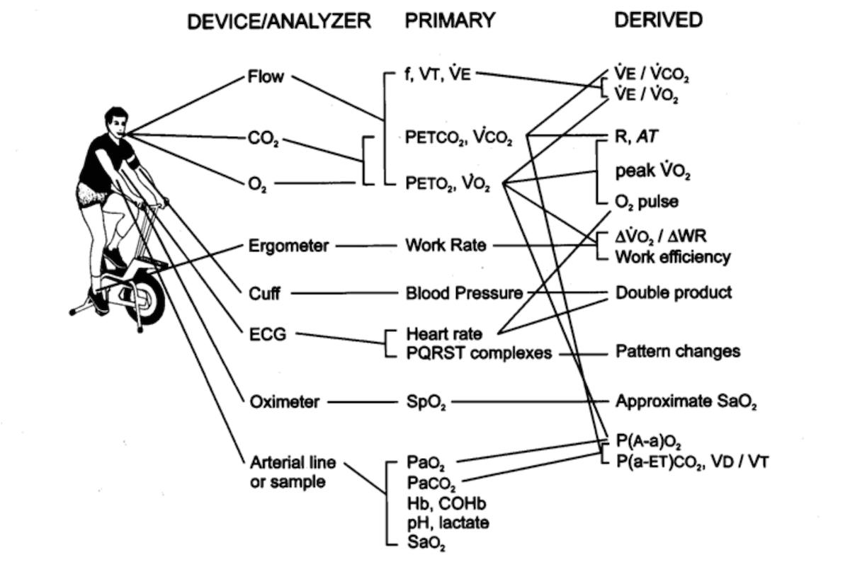 CPET - 心肺运动实验 | 萤火